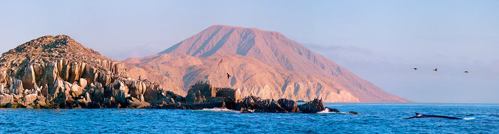 14-Day Hawaii Cruise from Los Angeles - Carnival Cruise Line