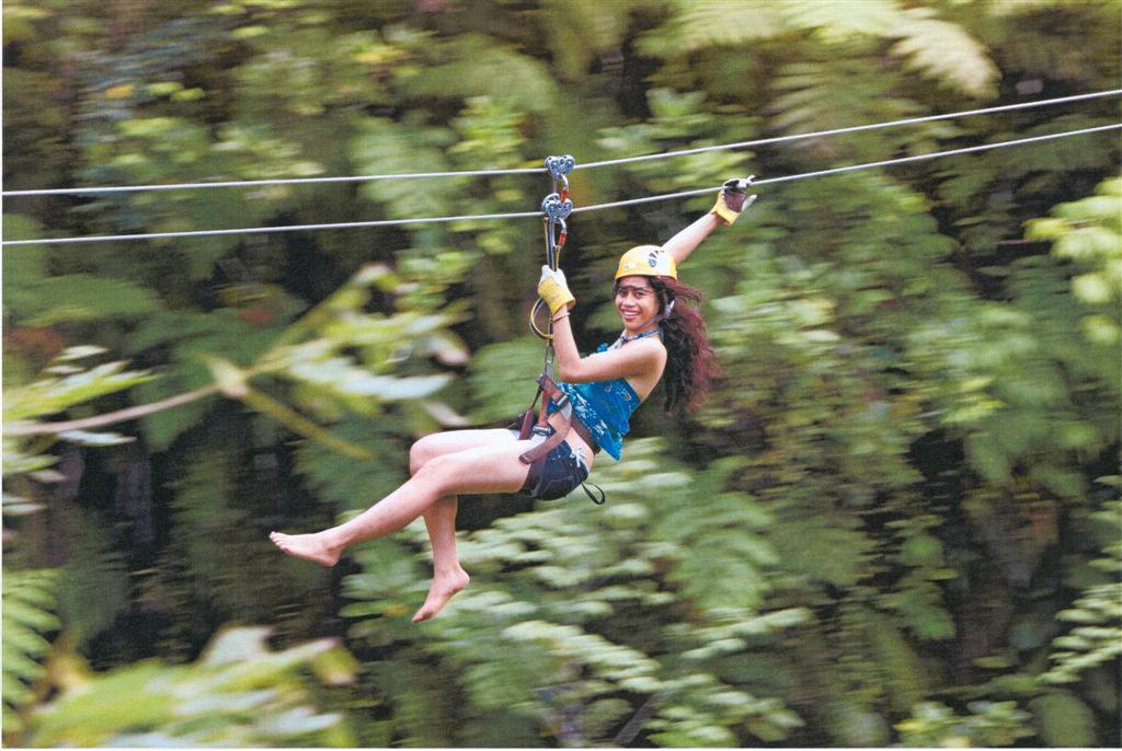 Forest Flying Fox Adventure | Shore Excursion | Carnival Cruise Lines ...